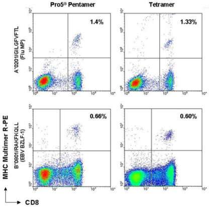 Pro5® MHC Class I Pentamers - ProImmune Pro5® MHC Class I Pentamers