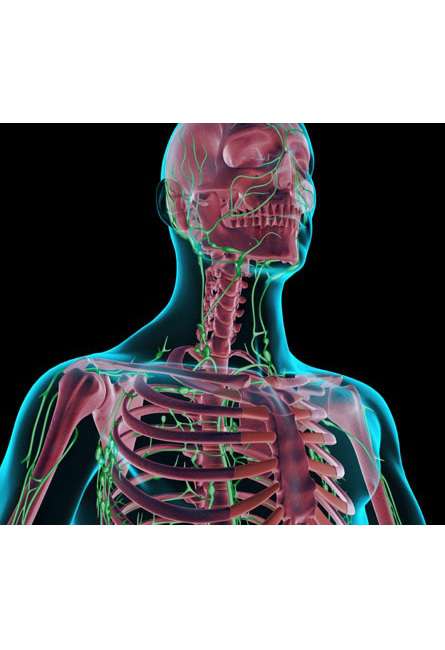 Home - ProImmune - Mastering Immunity _ MHC pentamers, CD1d tetramers ...