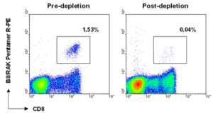 Magnetic Bead Cell Separation - ProImmune