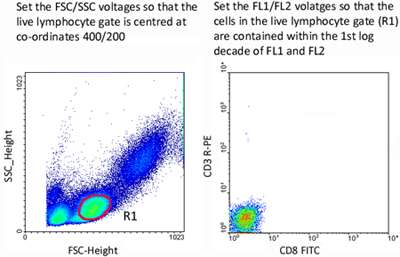 Multimer Flow Cytometry - ProImmune