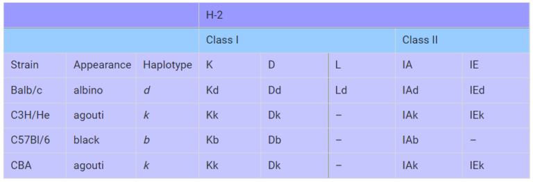 ProImmune REVEAL Mouse MHC Class II binding assay-Chinese - ProImmune